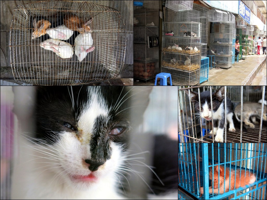 Katabon: A moral disgrace, and a chance – Rainer Ebert